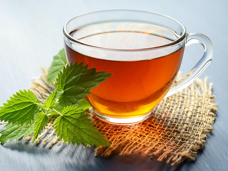 Raspberry Leaves Tea - PG Health | Dentistry, Optometry & Medical Surgery